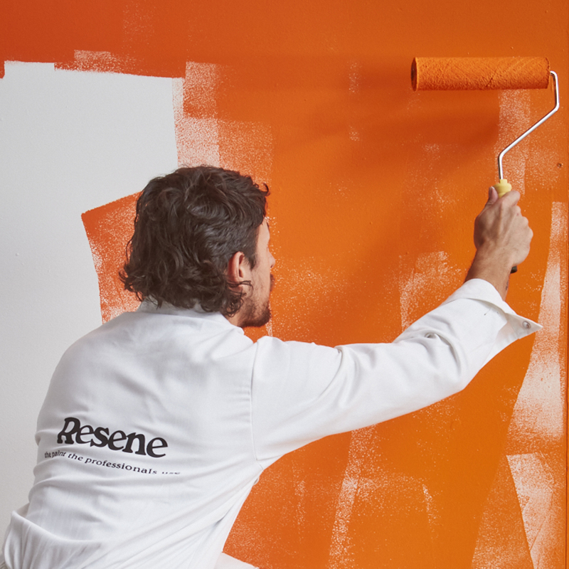 MasterStroke by Resene